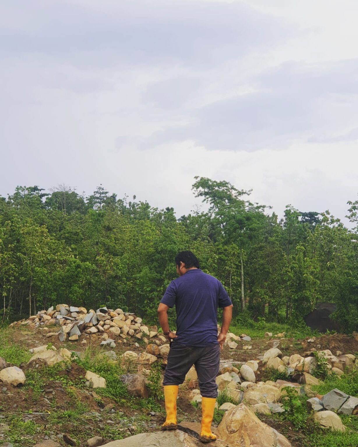 Sinergi Stone - Produsen & Pabrik Batu Alam Andesit Terpercaya ...